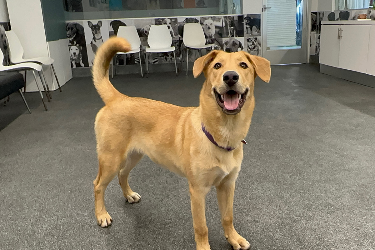 PromoWire (11/21-11/27): Notes And News Releases From Around The Promo ...