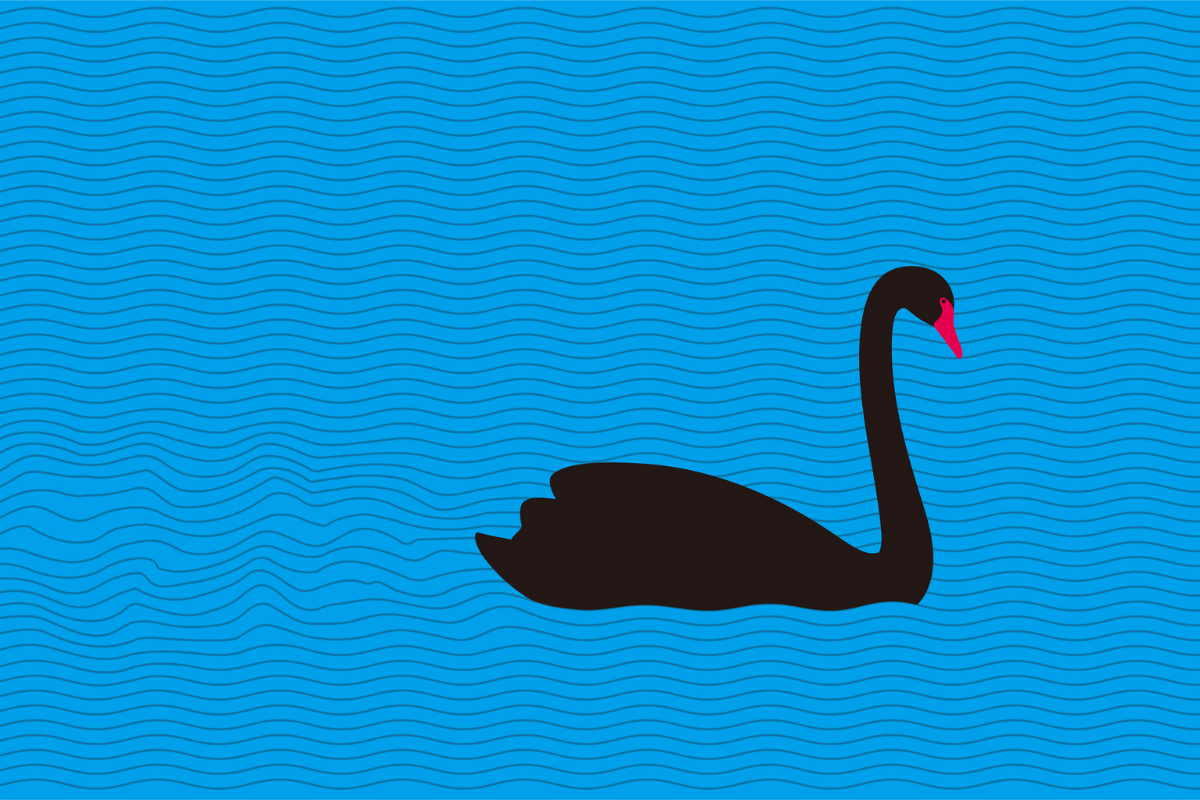 Taylor Borst: 6 Clues To Promo's Future Hiding In Plain Sight - PPAI ...