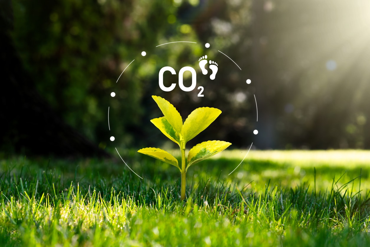 ‘Cradle-To-Gate’: Gemline Discusses Its Carbon Footprint Data Program ...